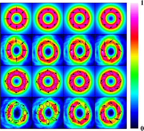 the polarization and intensity distributions of the vector vortex beams