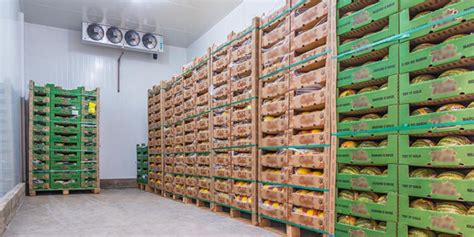 Climatização E Armazenamento De Frutas Legumes E Sementes