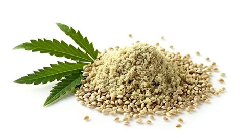 Heap Of Hemp Seeds And Hemp Leaf Isolated On White Background Premium Ai Generated Image Heap Of Hemp Seeds And Hemp Leaf Isolated On White Background Premium Ai Generated Image