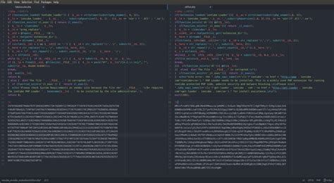 Threat Intercept Fake IonCube Malware Found SiteLock