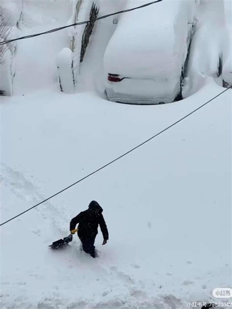 美国东北部遭遇 炸弹气旋”！网友：这里是 北美宁古塔”？ 关注森林