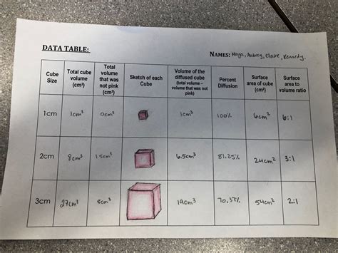 Diffusion In Agar Cubes Maya S Blog