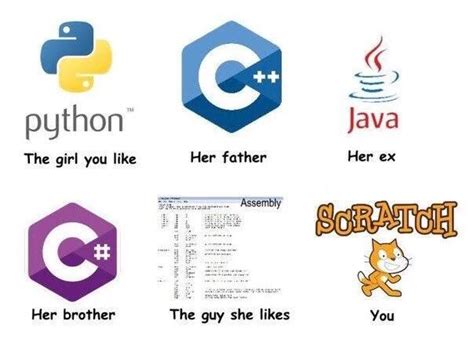 Relationships R ProgrammerHumor