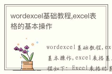 Wordexcel基础教程excel表格的基本操作 兔宝宝游戏网