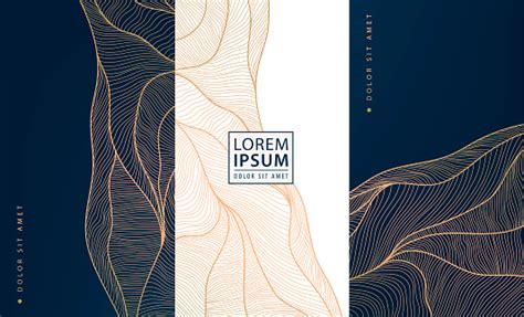 벡터 컬렉션 디자인 요소 세트 라벨 프레임 청첩장 소셜 넷 스토리 포장 고급 제품 향수 비누 와인 로션 물결 모양의 선 황금 배경 패턴 와인에 대한 스톡 벡터 아트 및 기타