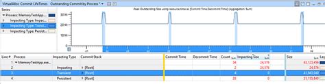 Exercise Track User Mode Process Allocations Microsoft Learn