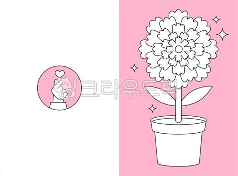 어버이날 스승의날 카네이션 5월 5월8일 사진 이미지 일러스트 캘리그라피 Keyㅡd작가