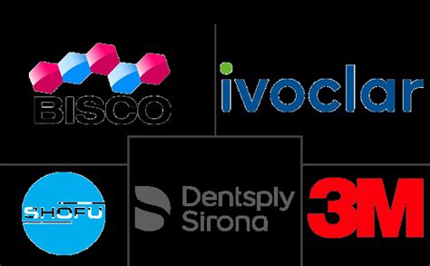 치과용 시멘트 시장 규모 점유율 분석 및 산업 보고서 2030 치과용 시멘트 시장 규모 점유율 분석 및 산업 보고서 2030