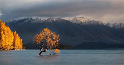 Smarter Rules Or Looser Standards Adam Grainger