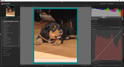 Rgb Curve Bug Dt 34 Darktable