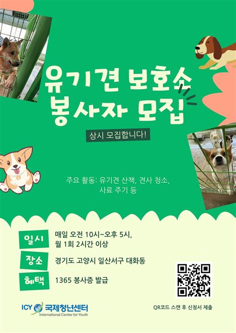국제청년센터 유기견 보호소 봉사자 모집 상시 모집 공모전 대외활동 링커리어