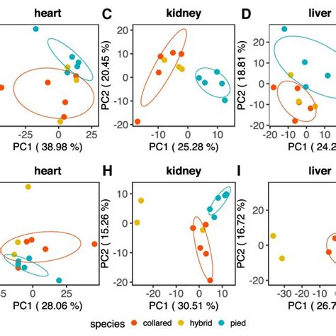 Principal Component Analysis Plots Of The First Two Principal