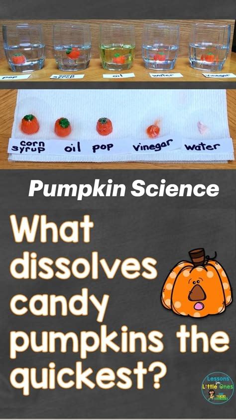 77 Stem Activities Preschool Ideas In 2025 Stem Activities Preschool Stem Activities