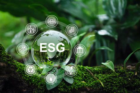 The CSSFs Supervisory Priorities For Fund Managers In The Area Of