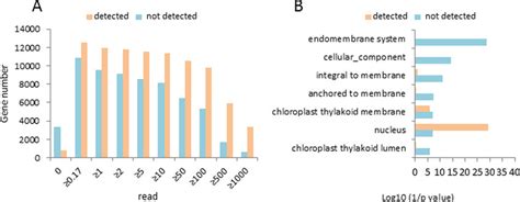 Detection Of Mrnas And Their Cognate Proteins A Dependence Of Protein