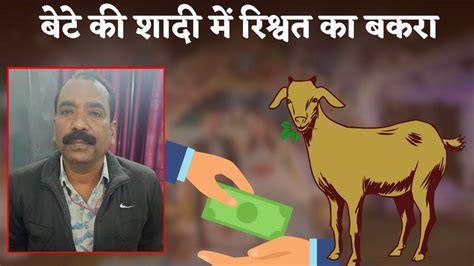 बेटे की शादी है... बाबू ने रिश्वत में मांगा बकरा और 50 हजार रुपये, ACB ...