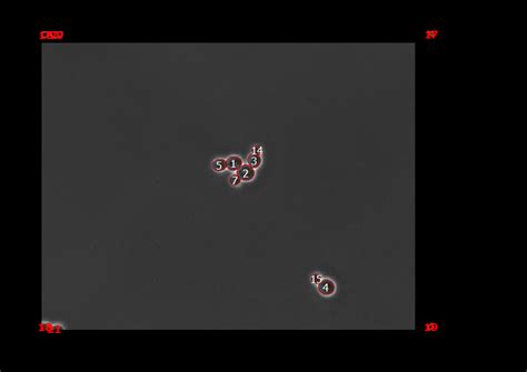 Problem Erasing Segmentation Masks At Edge Of Frame · Issue 25