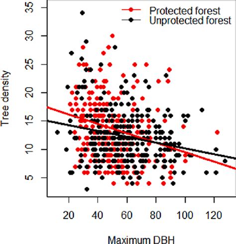 Relationship Between Tree Density And Maximum Tree Size Max DBH In Download Scientific