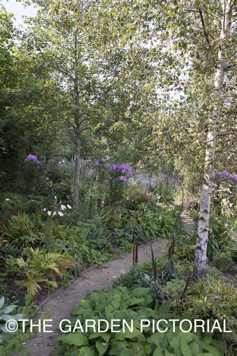 Arcadia Landscape Sheffield — The Garden Pictorial