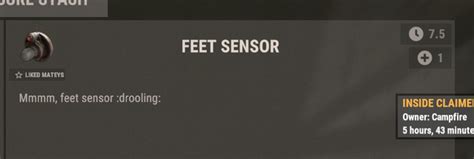 Wanted To See The Rust Pirate Language Option And Rplayrust