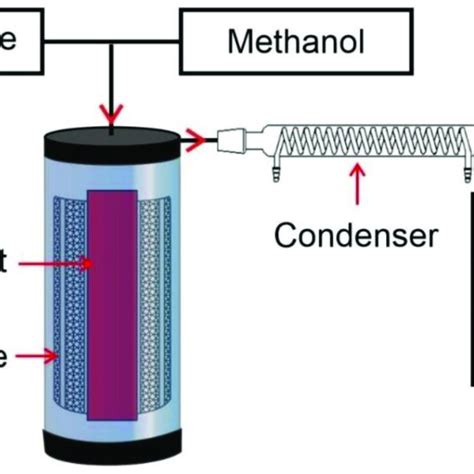Schematic Of Packed Bed Membrane Reactor Download Scientific Diagram