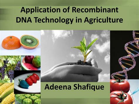 Ppt Rdna Technology And Food Uses Powerpoint Presentation Free Download Id 4788496