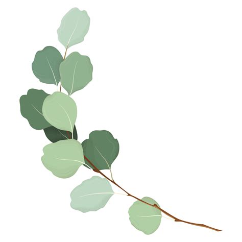 Tree Branch Twig Leaves Vector Art At Vecteezy