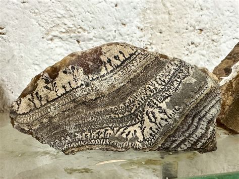 Manganese Oxide Dendrites Stock Image C059 3034 Science Photo Library