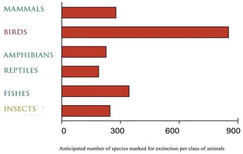 Human Caused High Direct Mortality In Birds Unsustainable Trends And