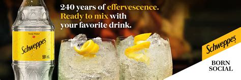 Fernandes Bottling Company Nv Schweppes