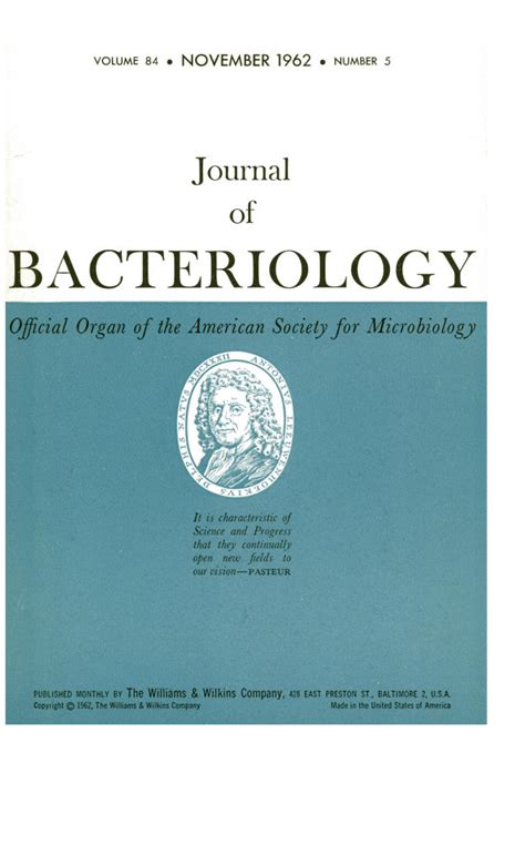 Isolation Of A New Amino Sugar From Chromobacterium Violaceum Journal