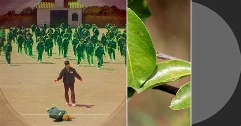 List Opencv Curated By Myles Tzelepis Medium