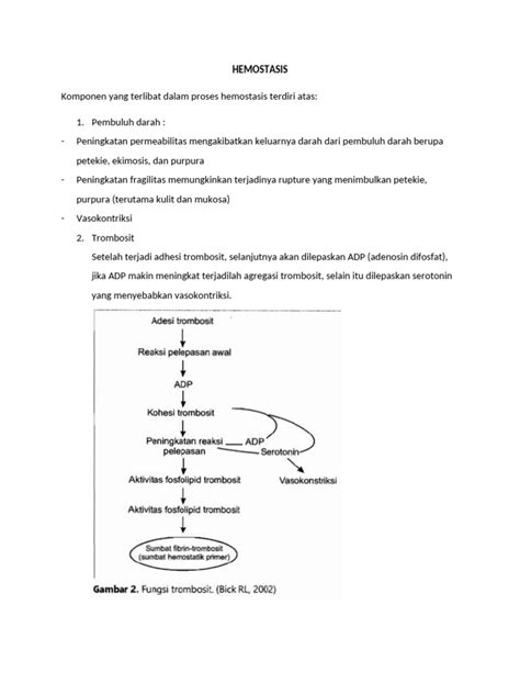 Hemostasis Pdf