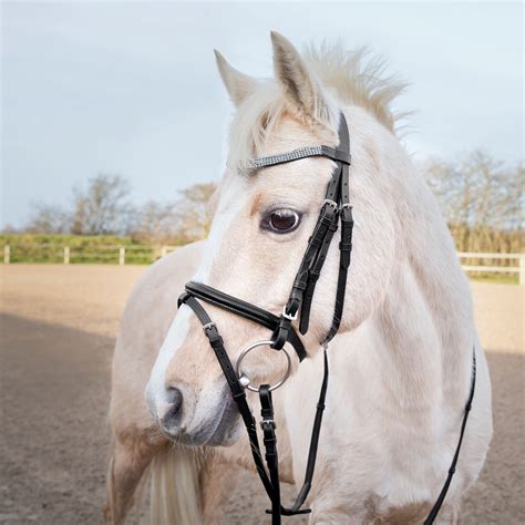 Horze Sparkle Bridle Clear Crystals Lanskeys Saddlery