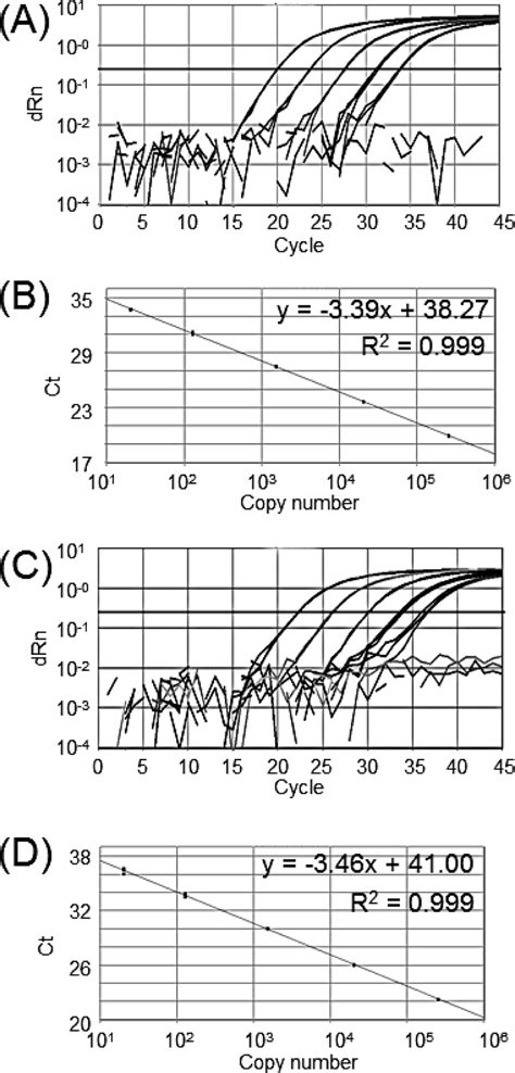 Amplification Curves Of Dilution Series Of Ply038 Plasmid And