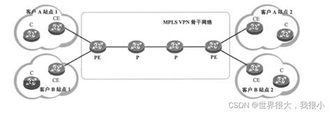 ldp协议总结 csdn博客
