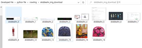 Python 구글 이미지 크롤링 다운로드 프로그램 SHA Computing