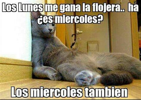 Miércoles Memes Miercoles Imagenes Miercoles Miercoles