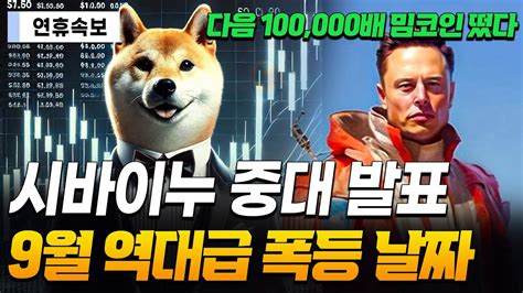 시바이누 코인 반전 미친 상승 100000배 밈코인 떴다 Youtube