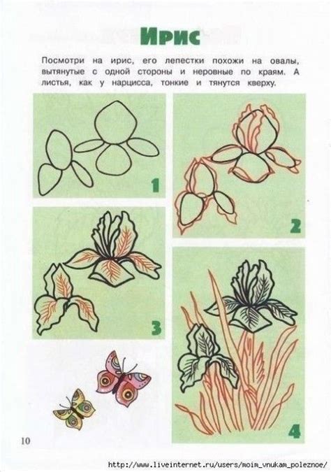 Учим детей рисовать цветы Рисунки цветов Рисовать Рисунки цветными карандашами