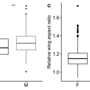Differences Between Female Left And Male Right In A Intertegular Download Scientific