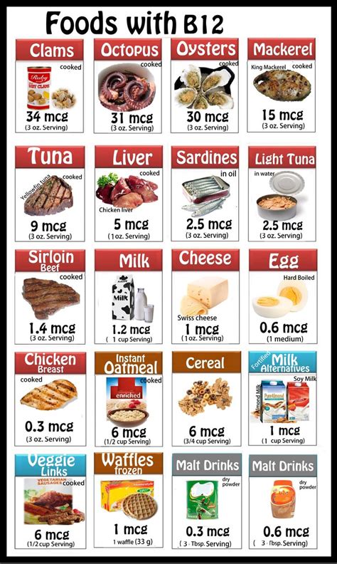 B12 Is A Coenzyme Used In Nucleic Acid Metabolism Adult Daily Needs