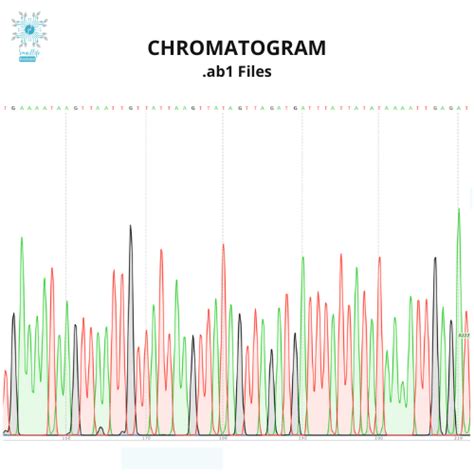 Sanger Sequencing Smartlife Biosciences