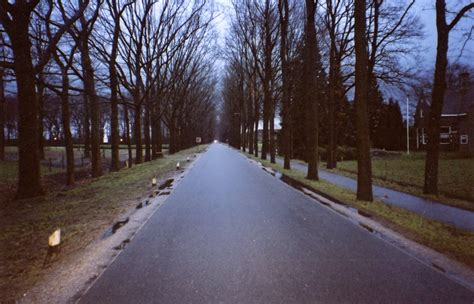 The Dance Of The Devoted Daughter