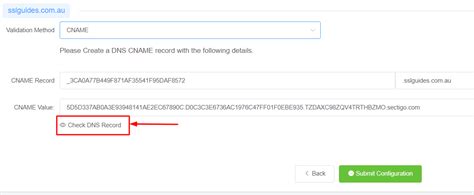 Nodejs Express Ssl Configuration And Installation Guide