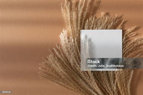 빈 종이 메모가있는 말린 팜파스 잔디의 꽃다발 또는 베이지 색 배경에 공백 자연스럽고 에코 트렌디 한 장식 요소 상단 전망 0명에 대한 스톡 사진 및 기타 이미지 Istock