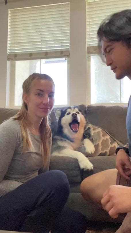 Post 710260531682050048 Chowder The Malfunctioning Robot Tumblr Com Tumbex