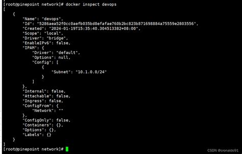 Iac基础设施即代码：terraform 创建 Docker 网络与容器资源terraform Docker 连接器 Csdn博客