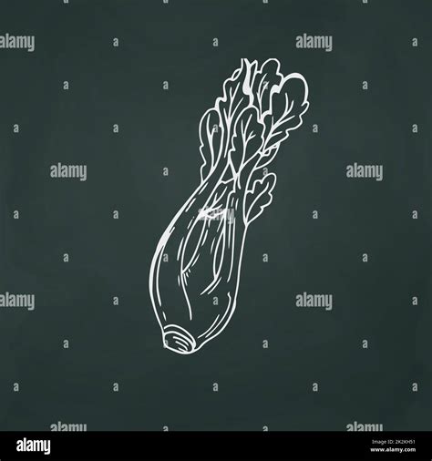 Celery Thin White Lines On A Textural Dark Background Vector Stock