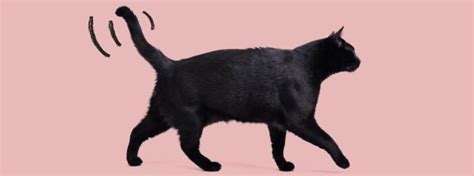 3d Secondary Animation Techniques Tools And Tips